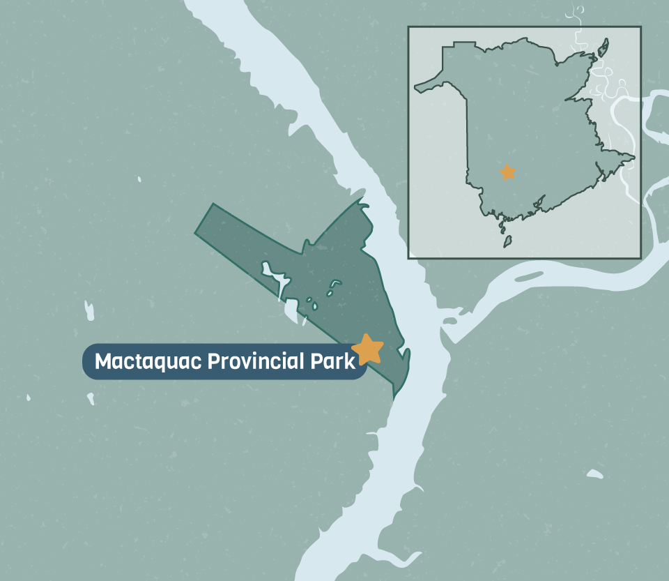 Mactaquac Provincial Park | Parks | Explore New Brunswick's Provincial ...