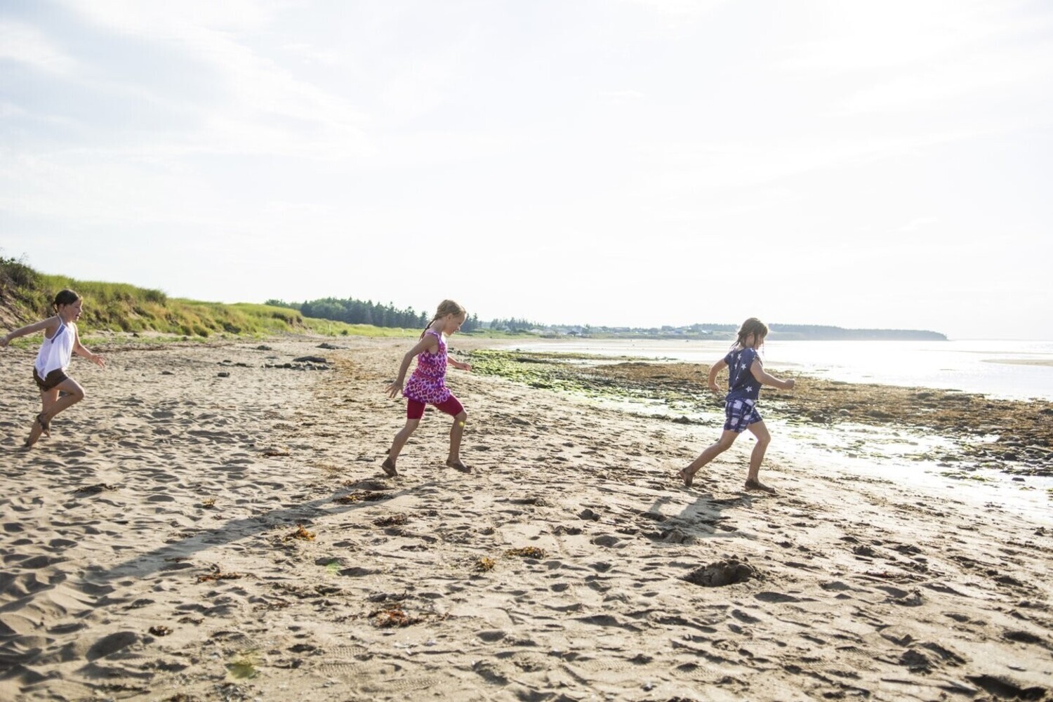 Gallery | Murray Beach Provincial Park | Parks | Explore New Brunswick ...