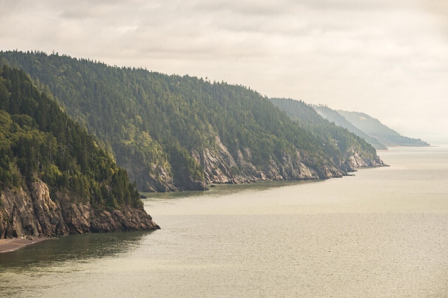 Gallery | Fundy Trail Provincial Park | Parks | Explore New Brunswick's Provincial Parks | NB Parks