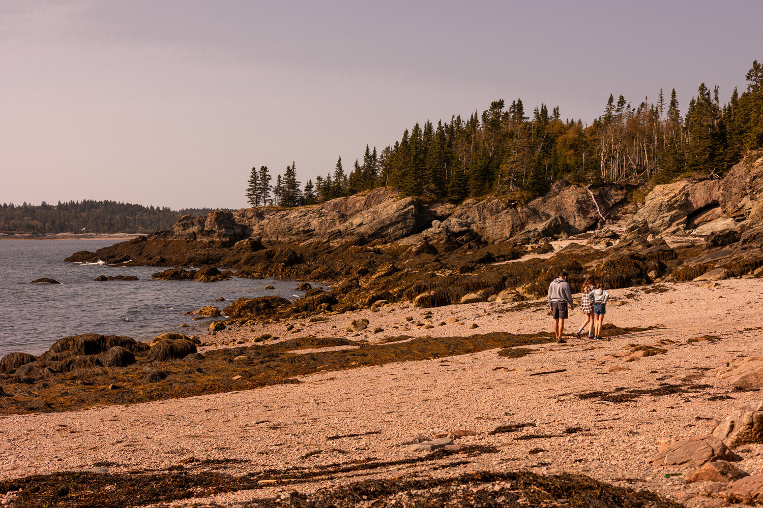 Parc provincial de la plage New River | Parcs | Explorez les parcs ...